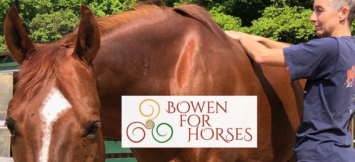 Bowen for Horses - Equine Muscle Release Therapy - Eva Mueller